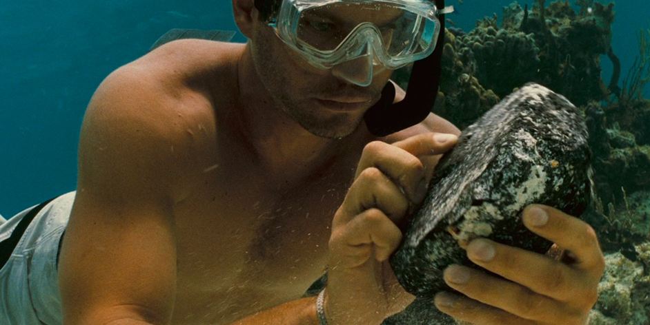 Into the Blue (2005) | MovieZine