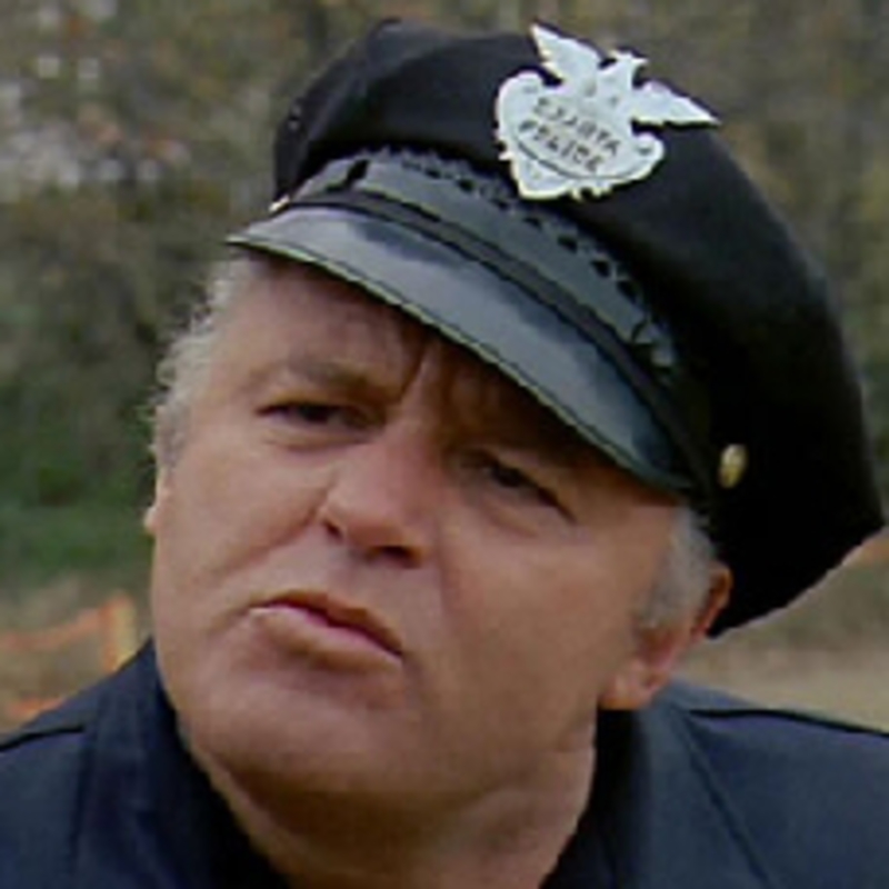 Rod Steiger bilder, biografi och filmografi | MovieZine